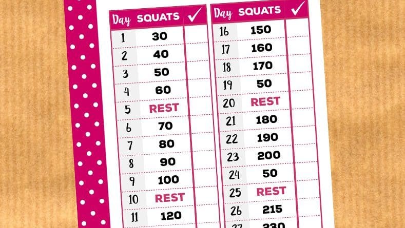 30 day squat challenge free printable insert for personal planners ...