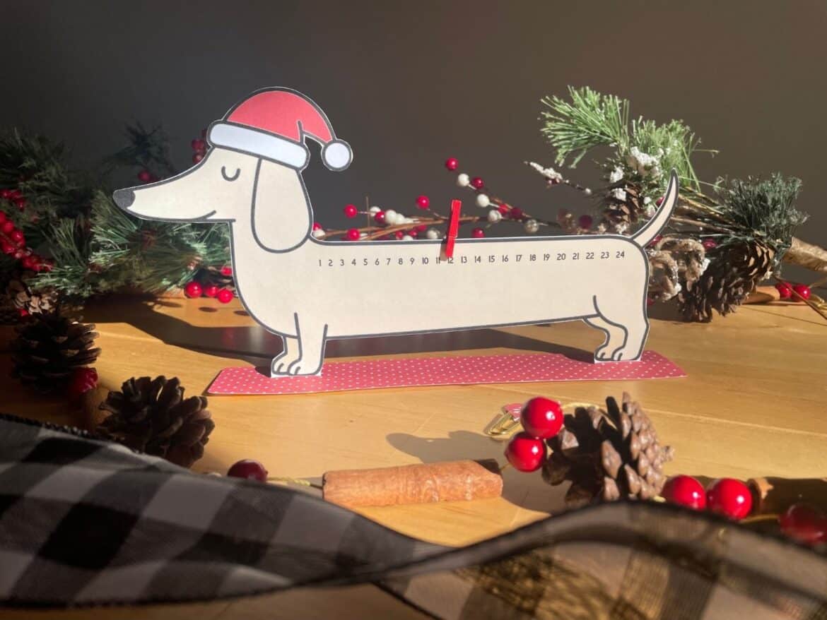 Free Printable 3D Dachshund Advent Calendar - Cute DIY Christmas ...