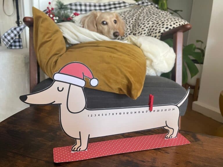 Free Printable 3D Dachshund Advent Calendar - Cute DIY Christmas ...